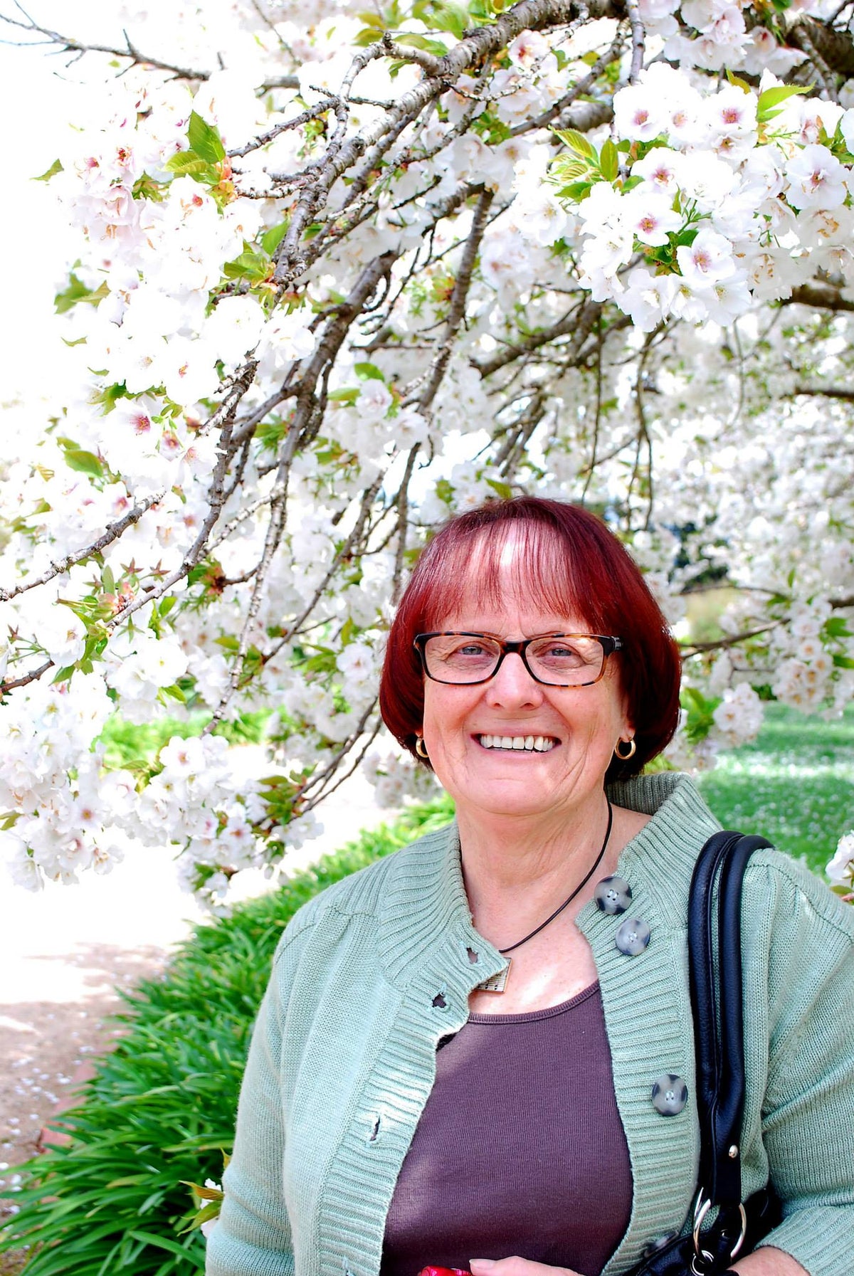 首頁 | Rose-Hip Vital® - Rose-Hip Vital® HK